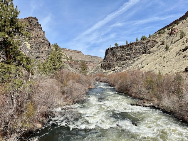 Alder Springs is a Great Hike for Spring in Central Ore