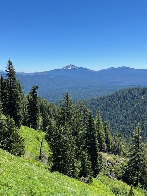 Browder Ridge is a Little Known Hike with Amazing Wildflowers