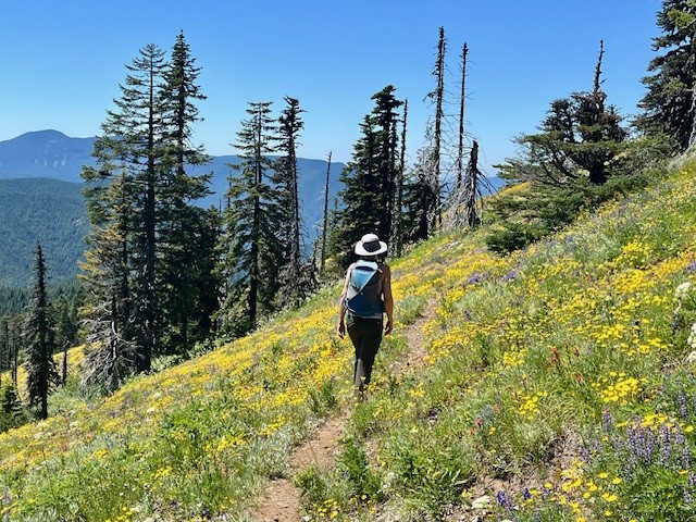 Browder Ridge is a Little Known Wildflower Hike