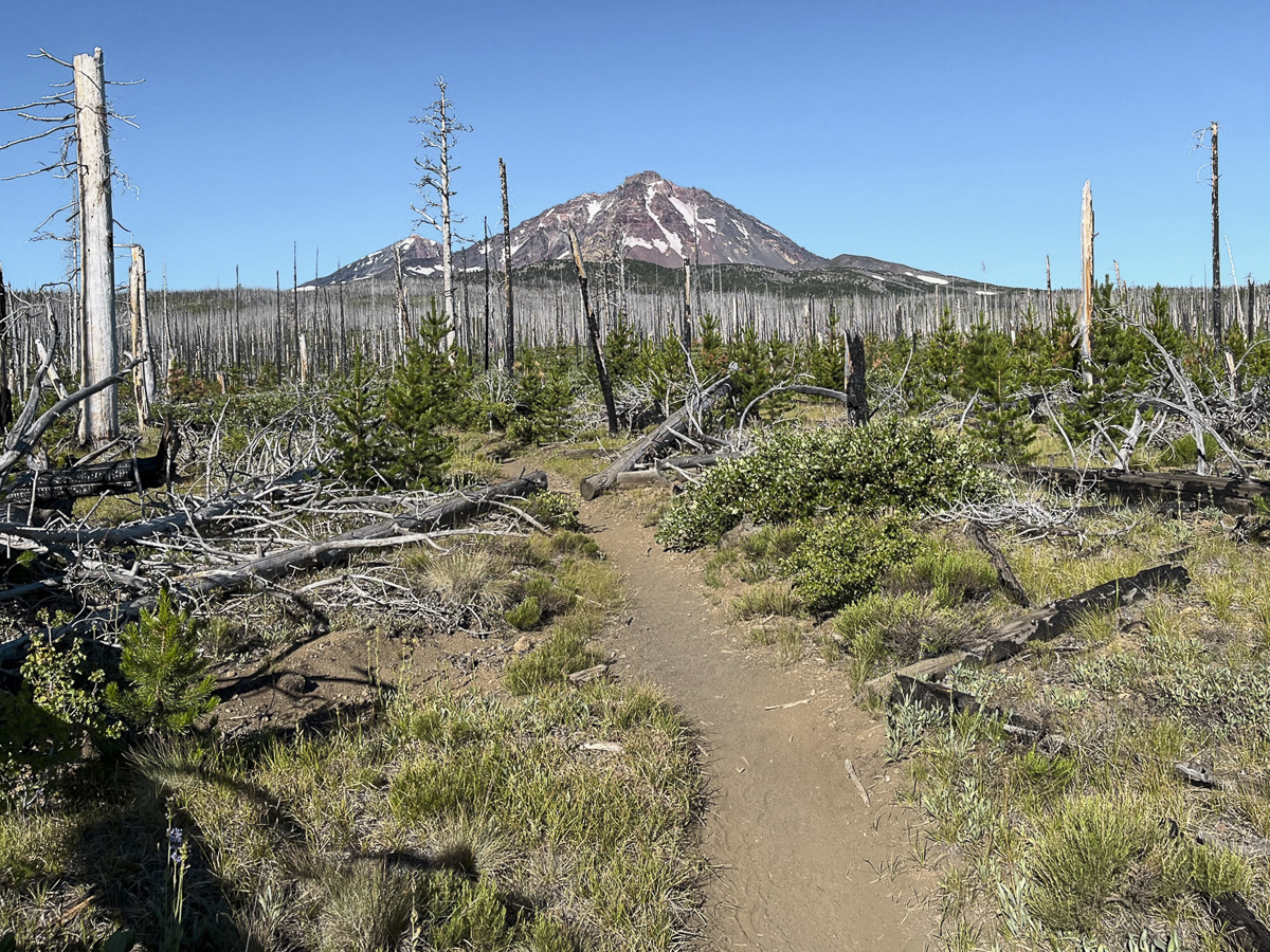 Camp Lake is a Tough Hike in the Three Sisters Wilderness