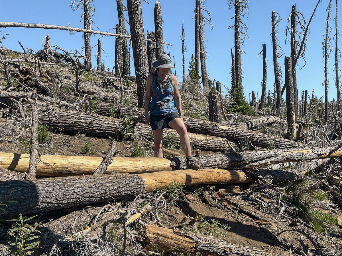 Camp Lake is a Tough Hike in the Three Sisters Wilderness