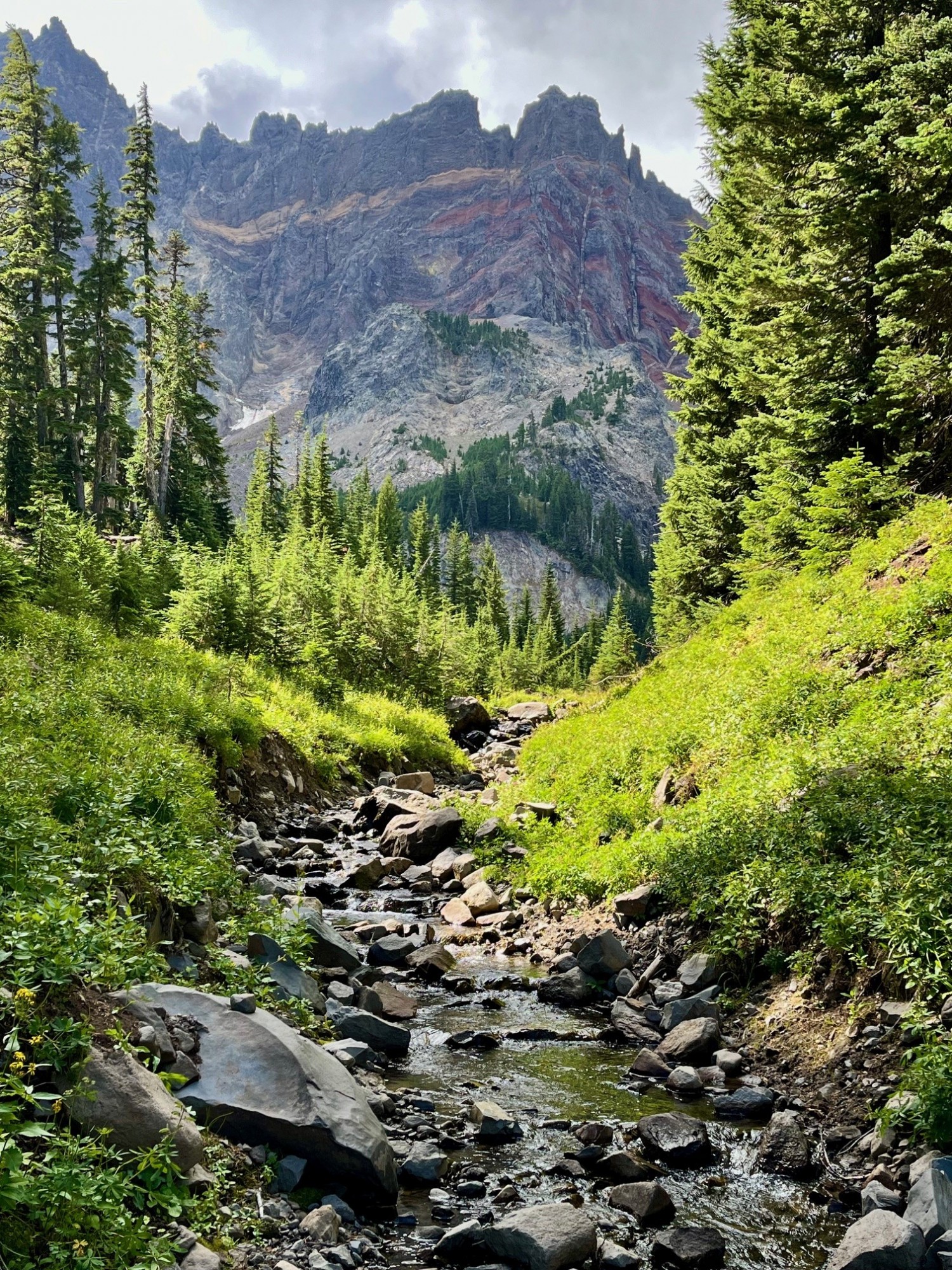 Canyon Meadow Hike Can Explore Three FIngered Jack