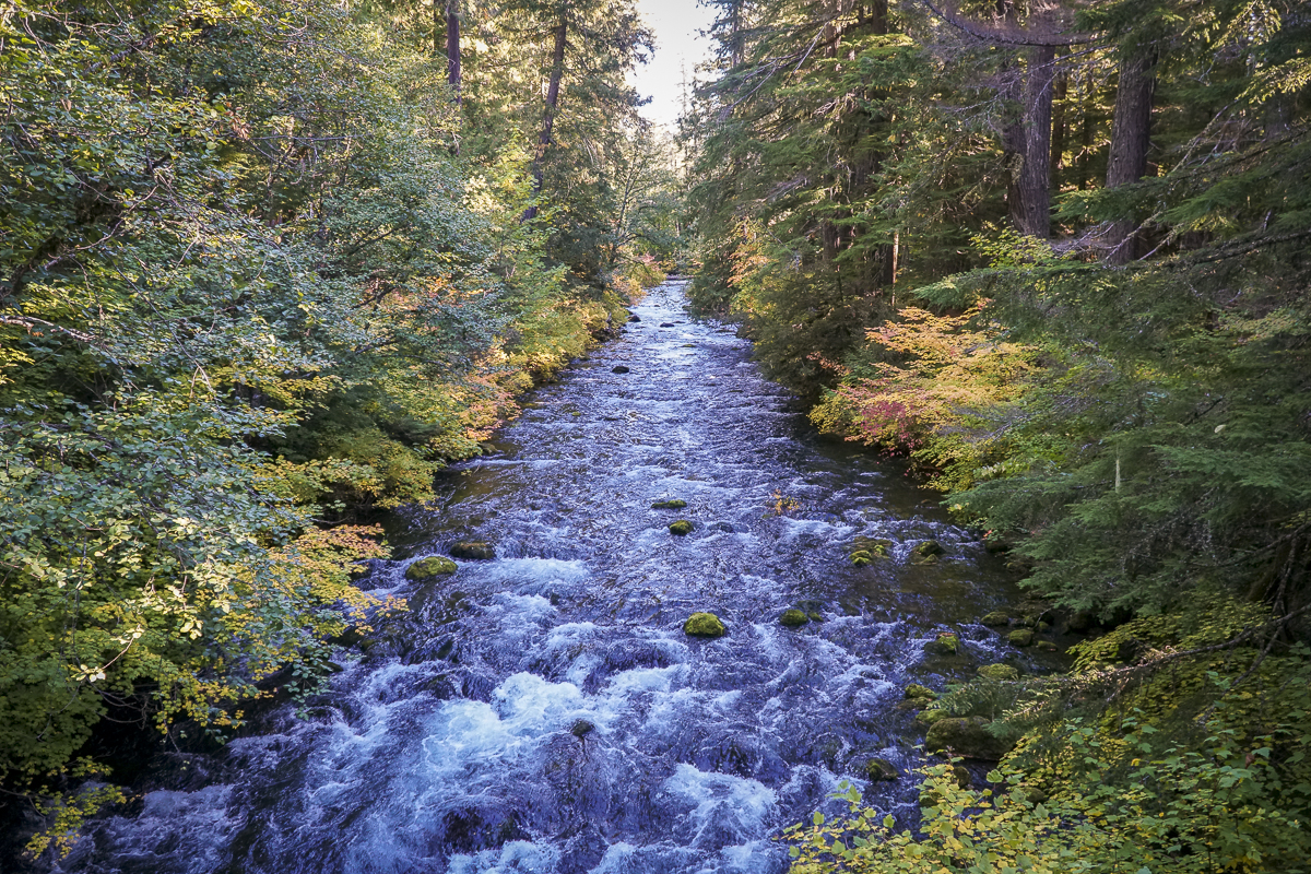 Bend Premier Real Estate Blog