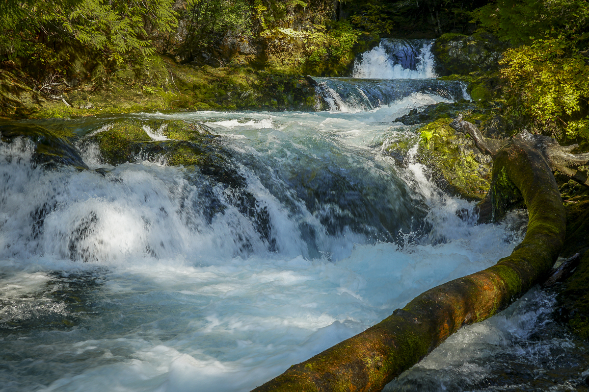Hike Central Oregon's Clear Lake for Lovely Fall Colors