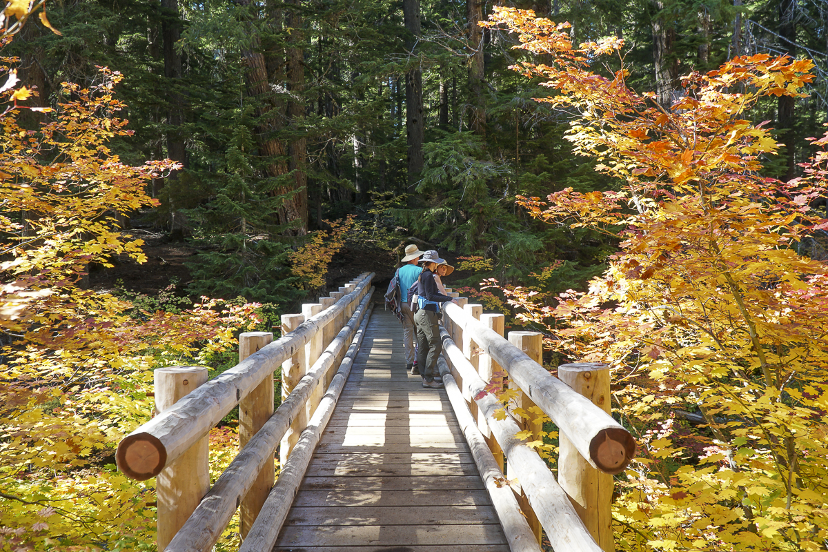 Hike Central Oregon's Clear Lake for Lovely Fall Colors