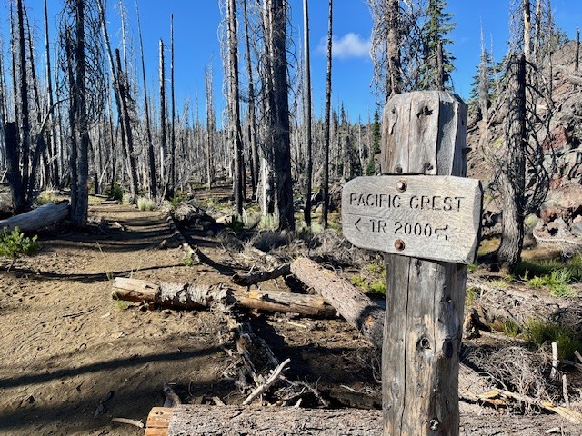 Hike to Collier Cone For a Rare View of Collier Glacier
