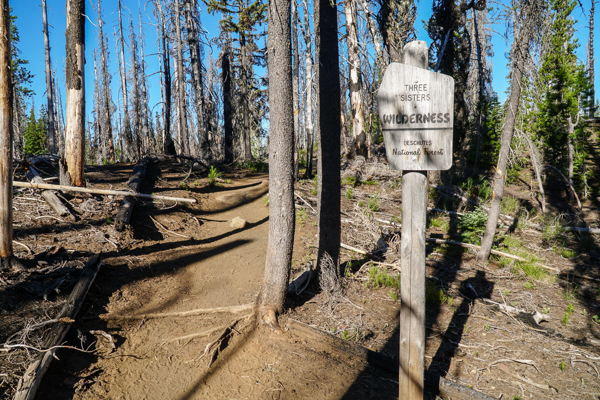 Collier Glacier in Central Oregon is a Great Destina
