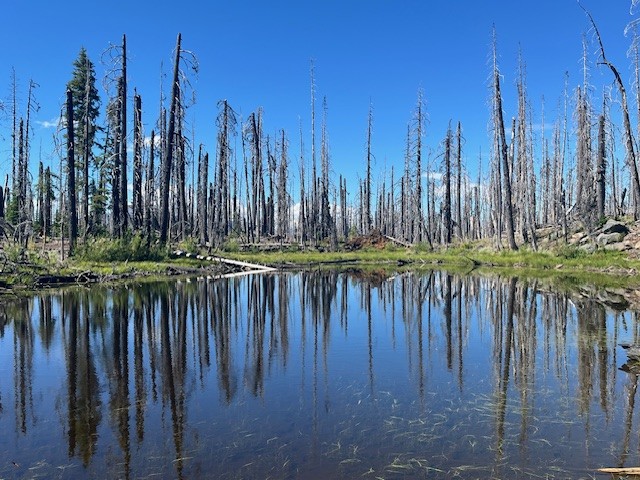 Hike to Collier Cone For a Rare View of Collier Glacier