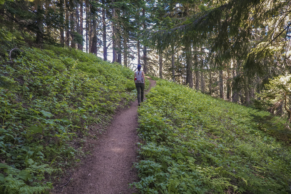 Iron Mountain Hike 2023 - Wildflowers and People!