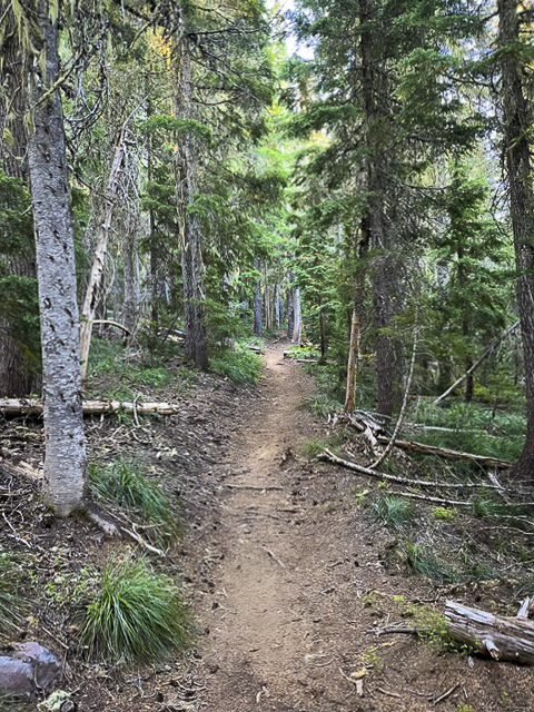 The Obsidian Trail is Ready for Hikers