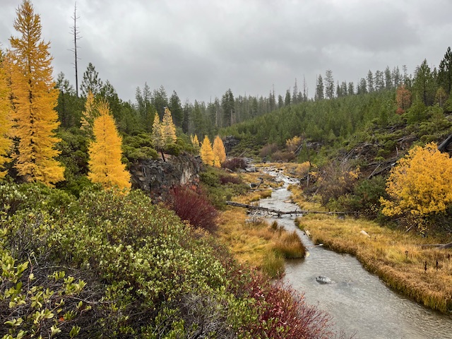 Fall Adventure on the Peter Skene Ogden Trail